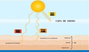 Radiación Solar: ¿Qué es?, caracteristicas, tipos, causas, efectos y más