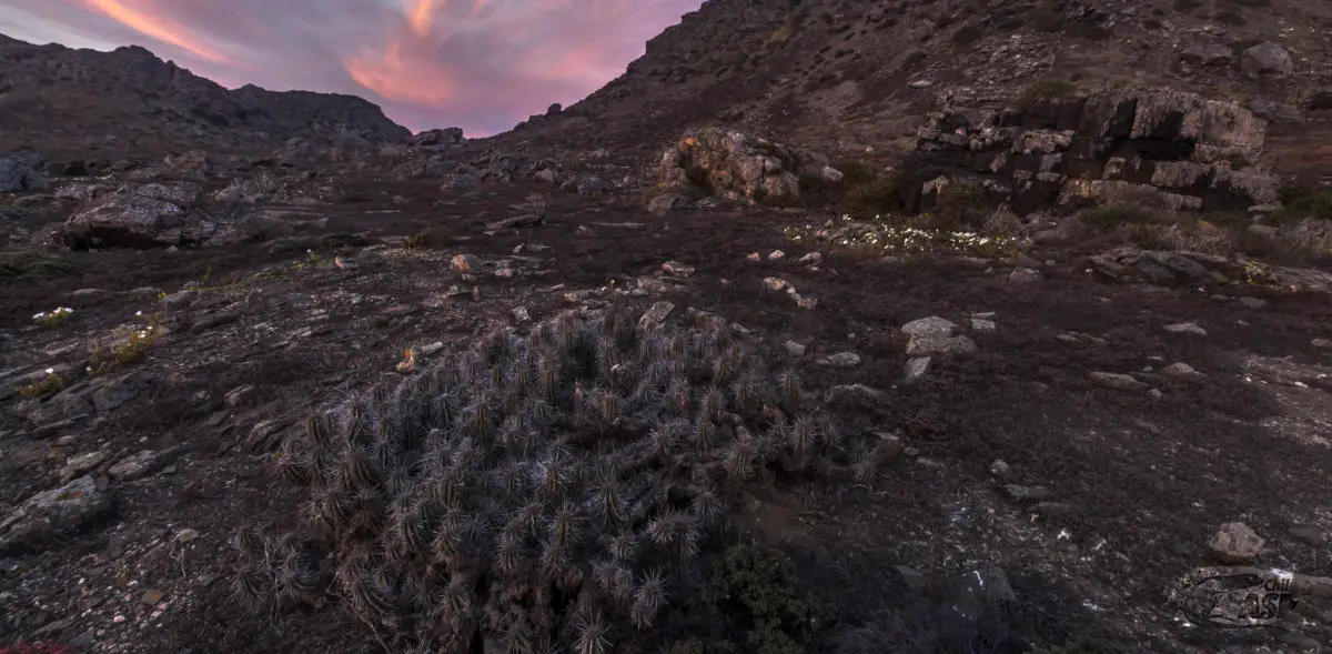 Metamorfismo: ¿Qué Es?, Cuales Son Los Tipos Y Mucho Más