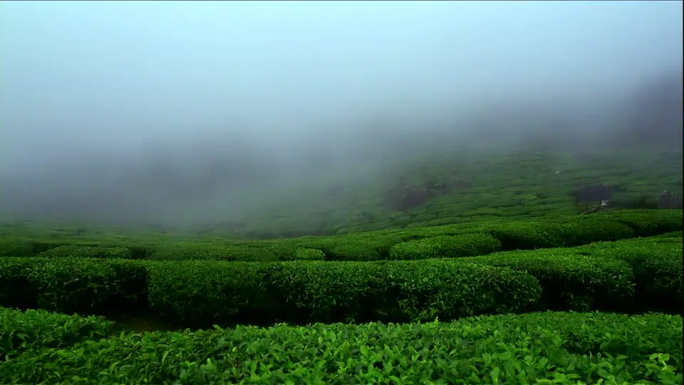 ¿Qué Es El Viento Monzón? Aprendelo Aquí