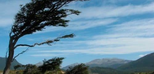 ¿Qué Es El Viento Monzón? Aprendelo Aquí