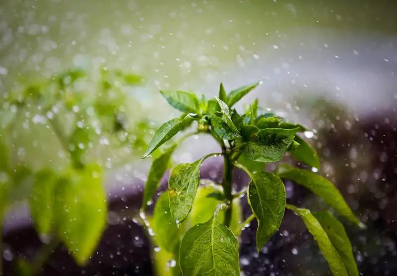 ¿Qué Es El Viento Monzón? Aprendelo Aquí
