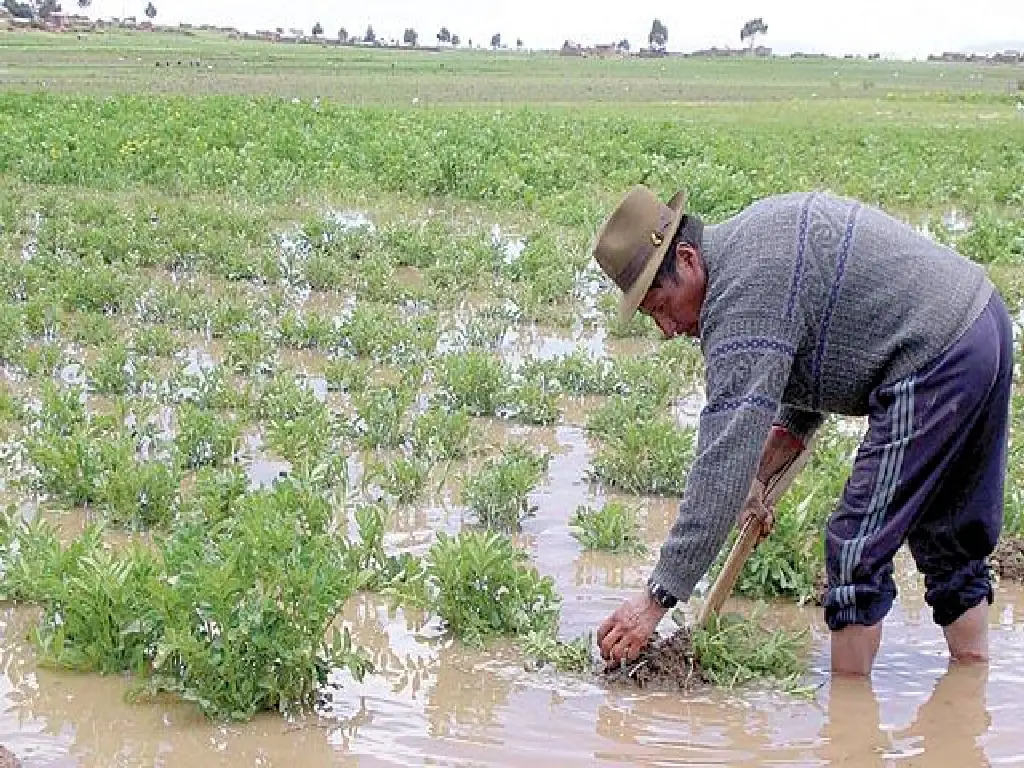 ¿Qué Es El Viento Monzón? Aprendelo Aquí