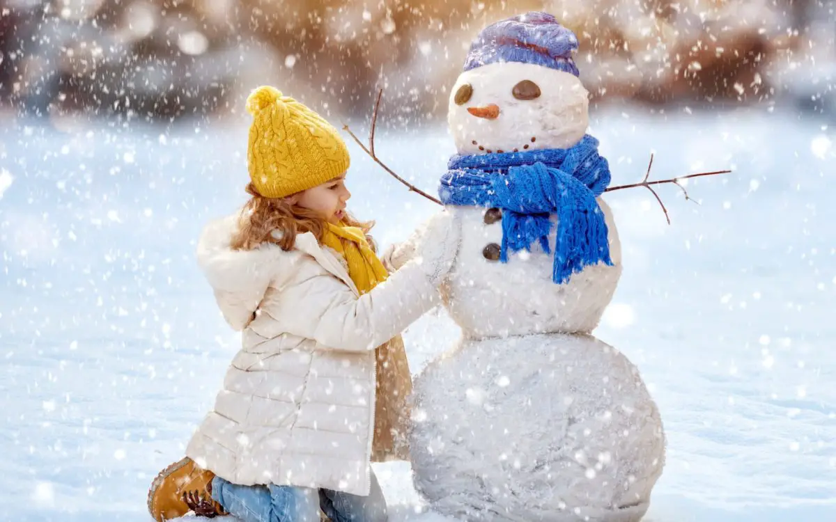 Conozca Aquí Todo Sobre El Fenómeno De La Nieve