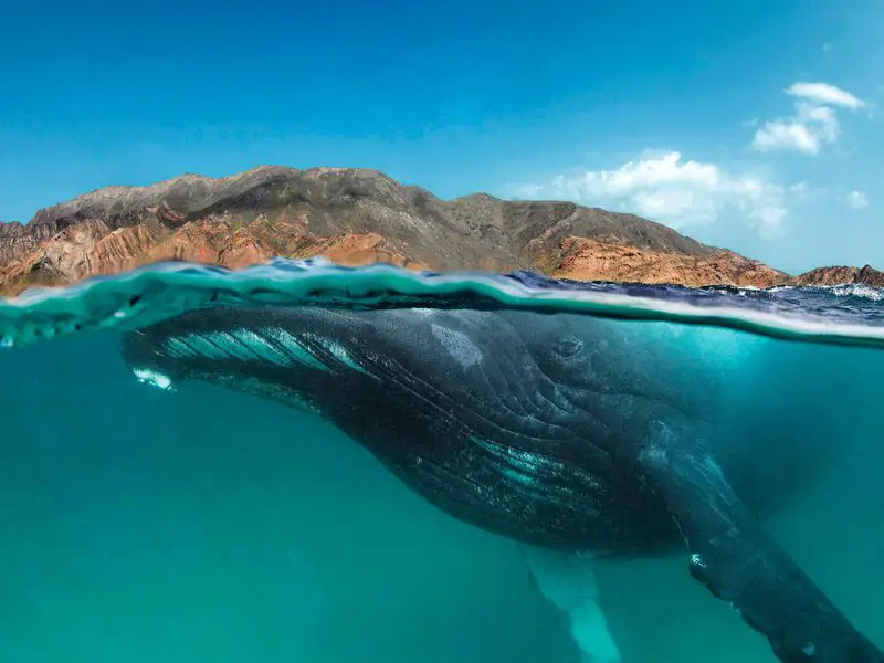 Mar Arábigo, lo que aún no sabes de este mar de la tierra