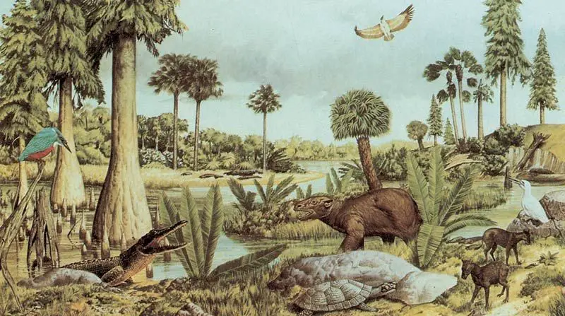 NEÓGENO: TODA LA INFORMACIÓN SOBRE ESTE PERÍODO GEOLÓGICO