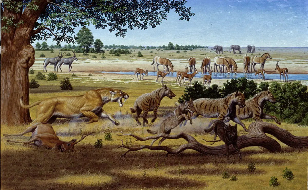 NEÓGENO: TODA LA INFORMACIÓN SOBRE ESTE PERÍODO GEOLÓGICO