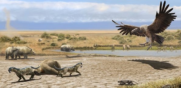 NEÓGENO: TODA LA INFORMACIÓN SOBRE ESTE PERÍODO GEOLÓGICO