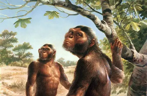 NEÓGENO: TODA LA INFORMACIÓN SOBRE ESTE PERÍODO GEOLÓGICO