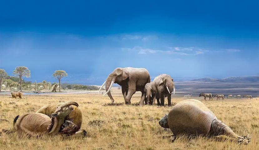 NEÓGENO: TODA LA INFORMACIÓN SOBRE ESTE PERÍODO GEOLÓGICO