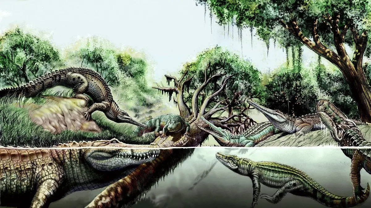 NEÓGENO: TODA LA INFORMACIÓN SOBRE ESTE PERÍODO GEOLÓGICO