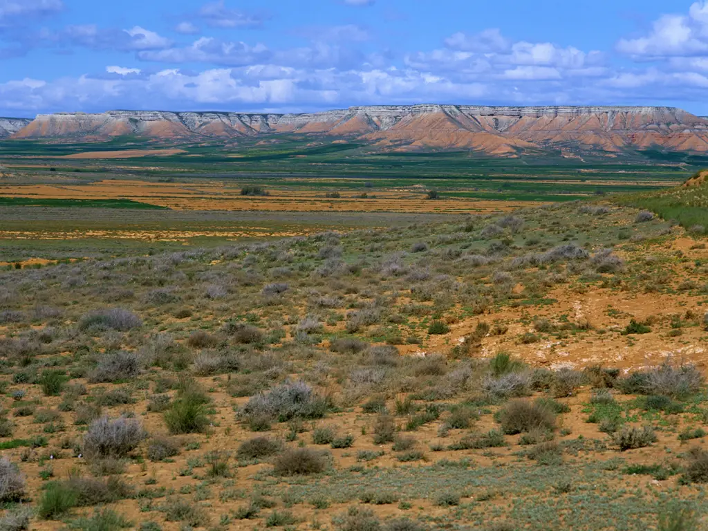 DESCUBRE TODO SOBRE EL CLIMA OCEÁNICO, SUS REGIONES Y CARACTERÍSTICAS