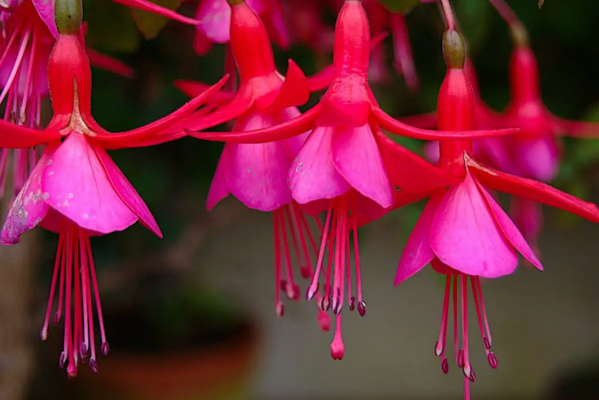 DESCUBRE TODO SOBRE EL CLIMA OCEÁNICO, SUS REGIONES Y CARACTERÍSTICAS