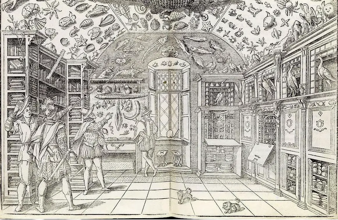 NICOLÁS STENO, BIOGRAFÍA Y APORTES DEL PADRE DE LA GEOLOGÍA