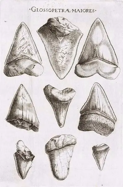 NICOLÁS STENO, BIOGRAFÍA Y APORTES DEL PADRE DE LA GEOLOGÍA