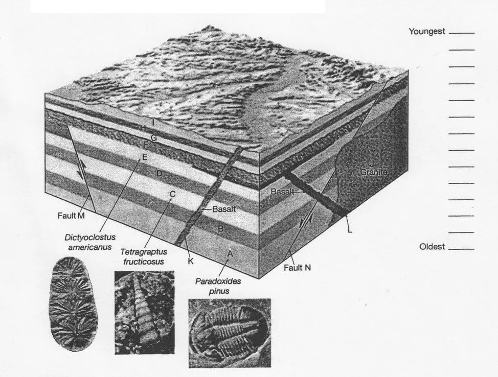 NICOLÁS STENO, BIOGRAFÍA Y APORTES DEL PADRE DE LA GEOLOGÍA