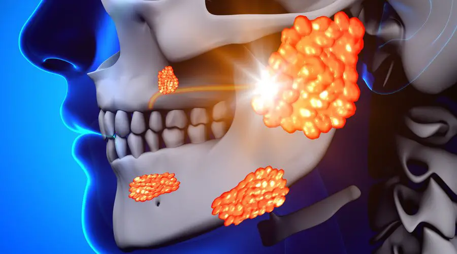 NICOLÁS STENO, BIOGRAFÍA Y APORTES DEL PADRE DE LA GEOLOGÍA